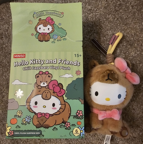 Miniso | Other | Miniso Hello Kitty And Friends Chill Capybara Vinly ...